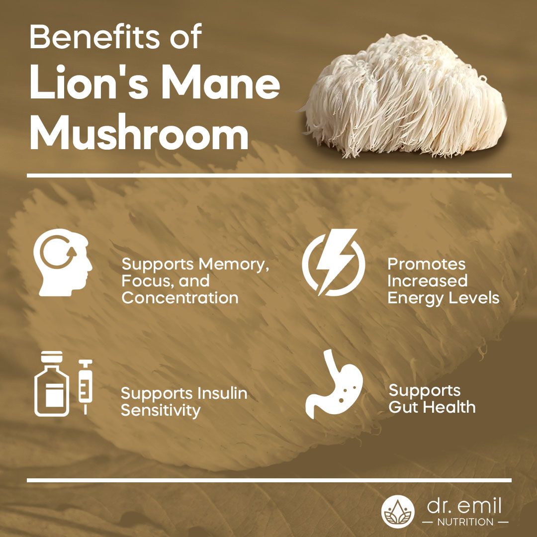 What Are the Benefits of Using Lion’s Mane Mushroom?